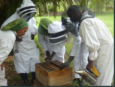 From The Heart Of Uganda: Wild African Bees - Beekeeping Workshop